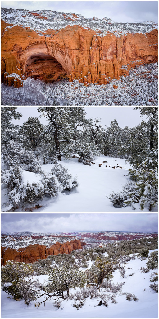 snowy desert - Welcome!
